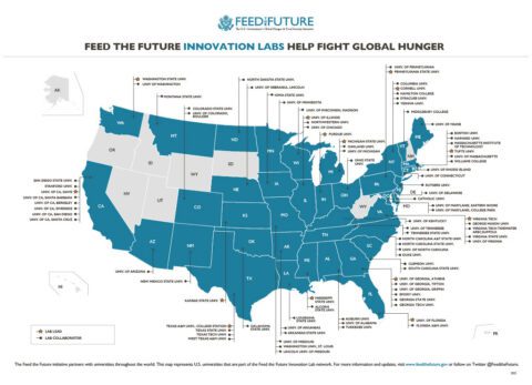 Innovation Lab Network - Food Systems for Nutrition Innovation Lab