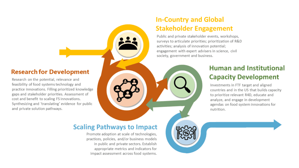 Our Work - Food Systems for Nutrition Innovation Lab
