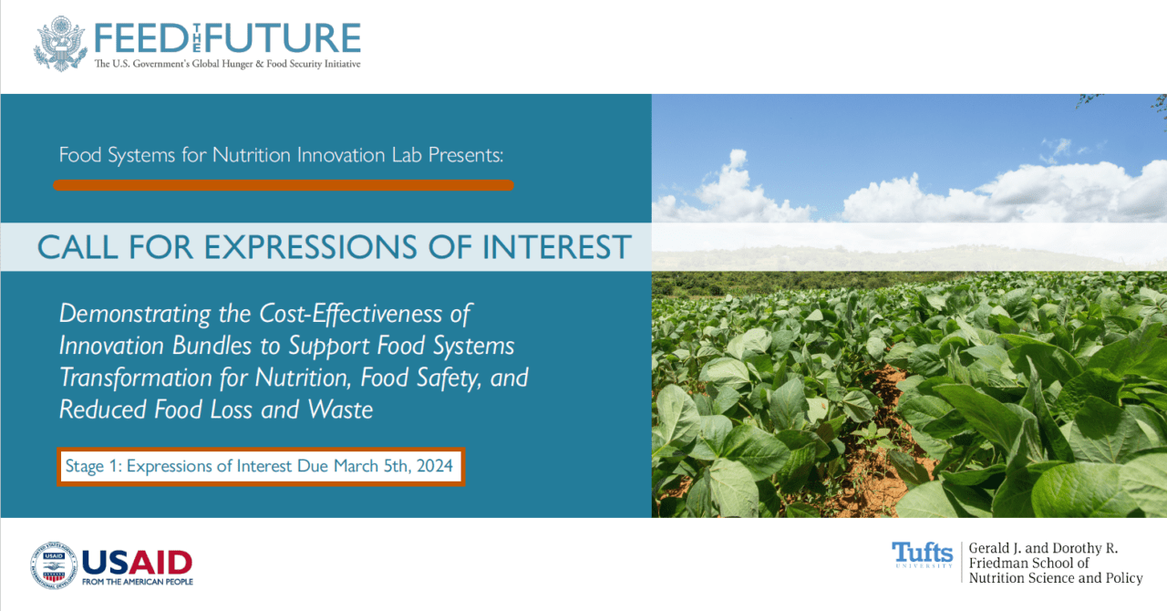 Call For Proposals - Food Systems for Nutrition Innovation Lab